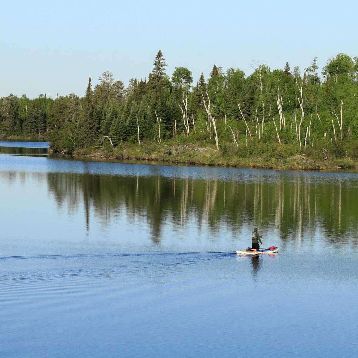 The Best Walleye Fishing Lakes in Minnesota: A Local's Guide – ABODE ...